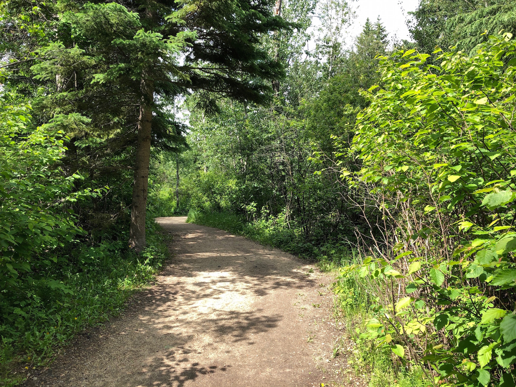 Crooked Paths – Page 2 – About life's crooked paths.