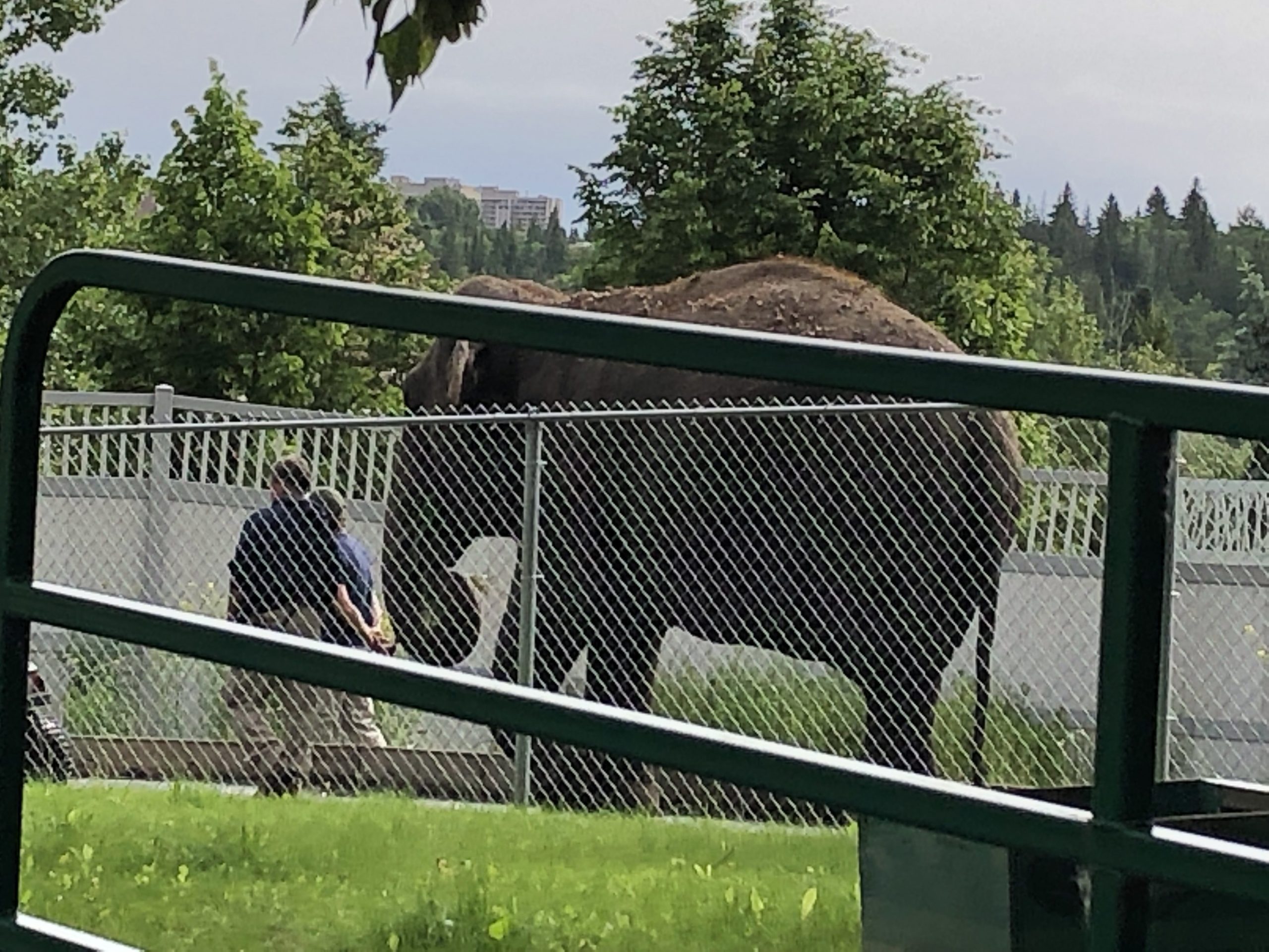 Edmonton Valley Zoo Trips – Crooked Paths